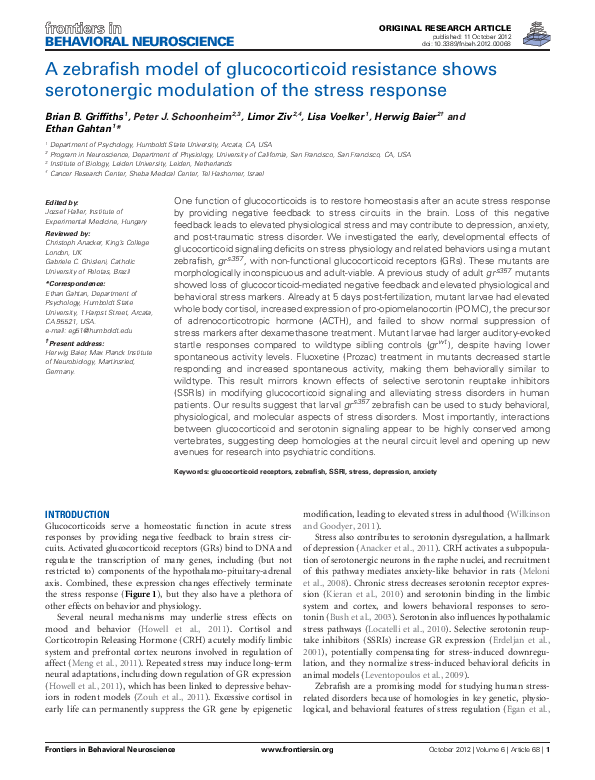(PDF) A zebrafish model of glucocorticoid resistance shows serotonergic modulation of the stress ...