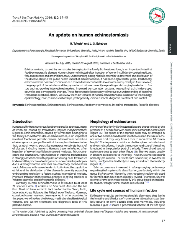 (PDF) An update on human echinostomiasis