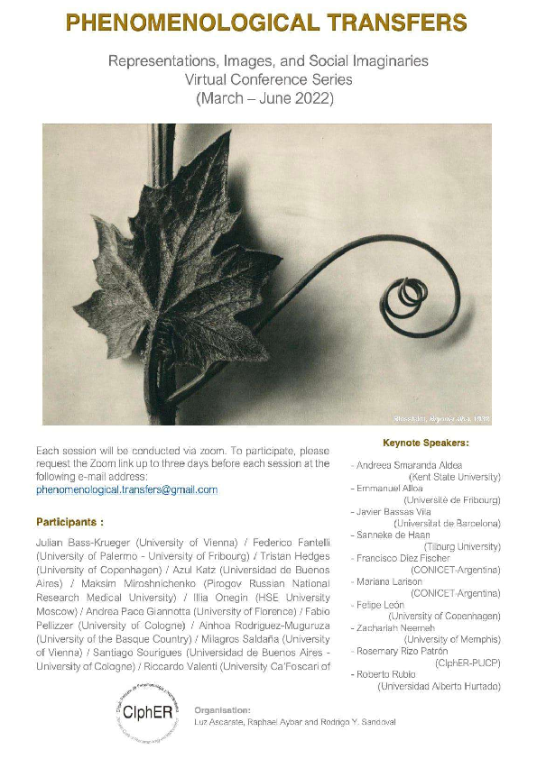 (PDF) A sensorimotor account of picture perception