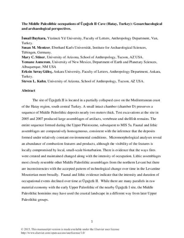 (PDF) The Middle Paleolithic occupations of Üçağızlı II Cave (Hatay ...