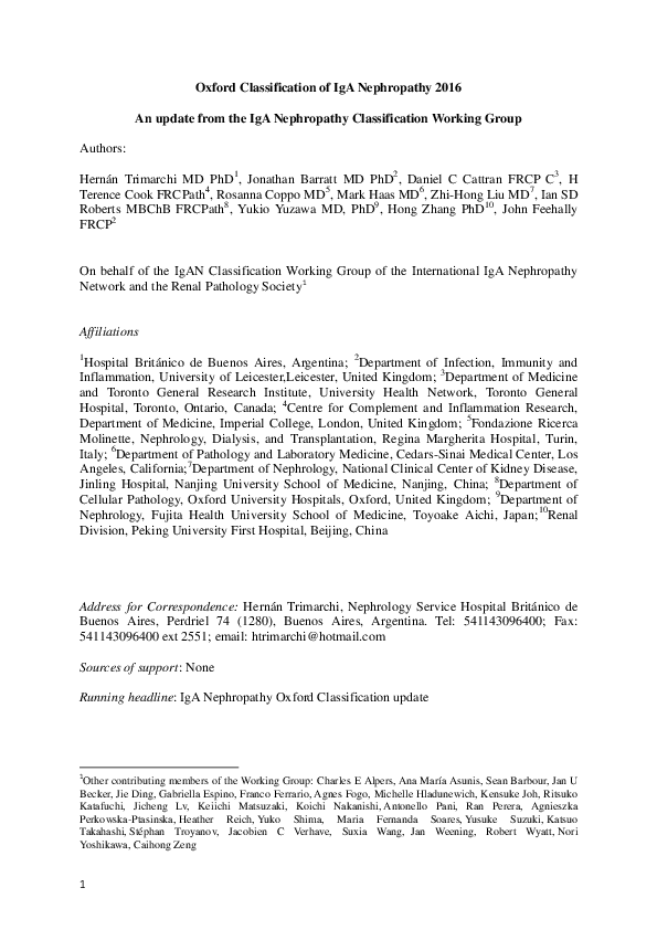 (PDF) Oxford Classification of IgA nephropathy 2016-the role of ...