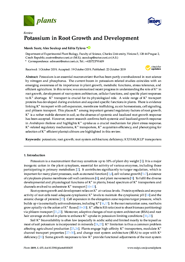 (PDF) Potassium in Root Growth and Development