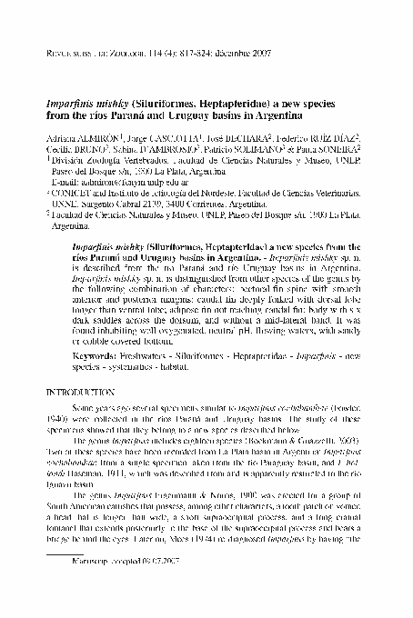 (PDF) Imparfinis mishky (Siluriformes, Heptapteridae) a new species ...