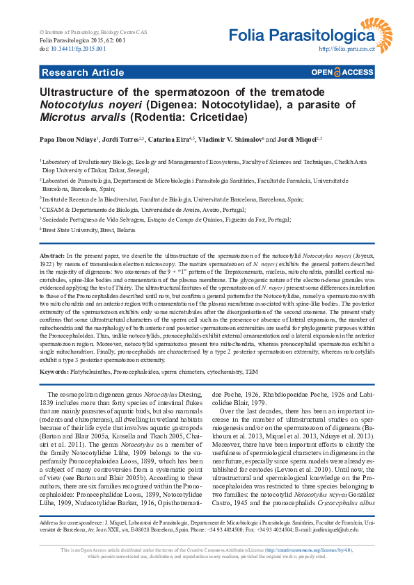 (PDF) Ultrastructure of the spermatozoon of the trematode Notocotylus ...