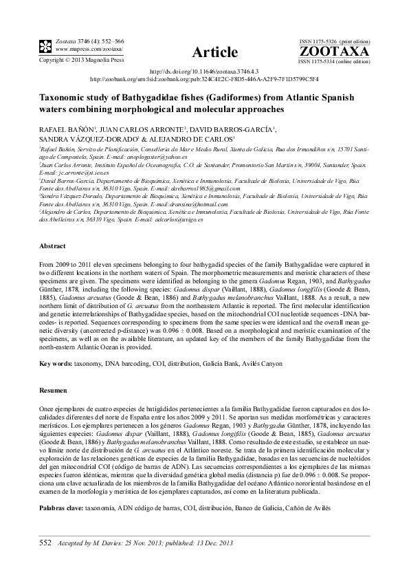 (PDF) Taxonomic study of Bathygadidae fishes (Gadiformes) from Atlantic ...