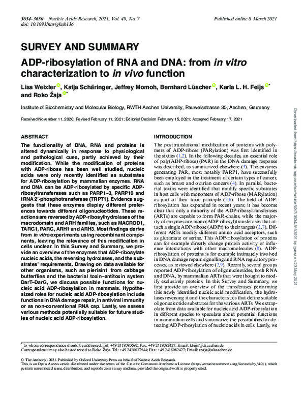 (PDF) ADP-ribosylation of RNA and DNA: from in vitro characterization to in vivo function