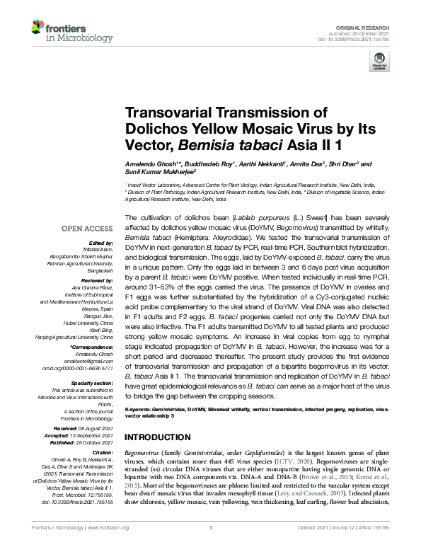 (PDF) Transovarial Transmission of Dolichos Yellow Mosaic Virus by Its ...