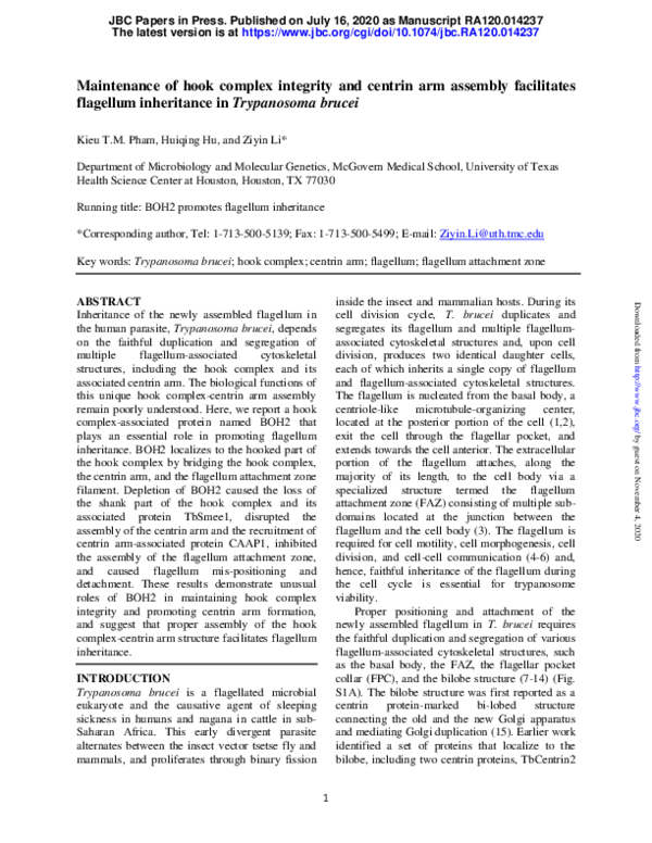 (PDF) Maintenance of hook complex integrity and centrin arm assembly ...