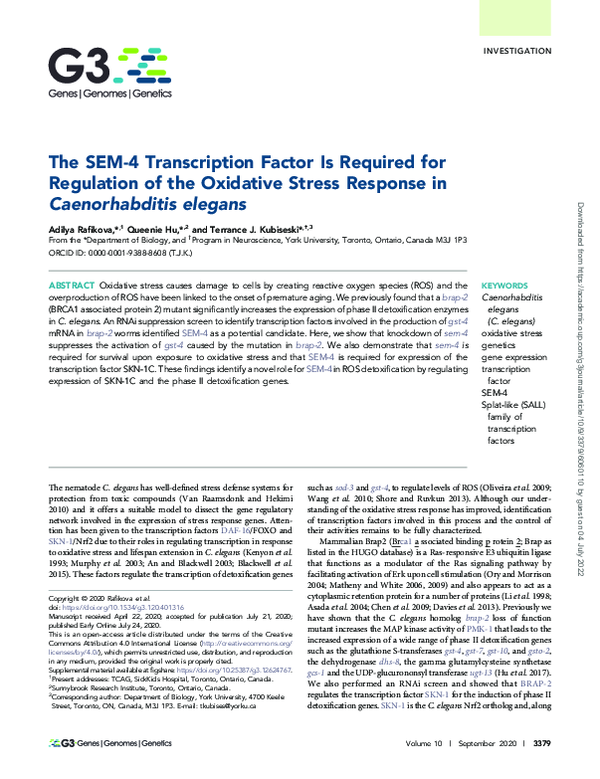 Pdf Molecular And Phenotypic Characterization Of Staphylococcus Aureus Strains Isolated From