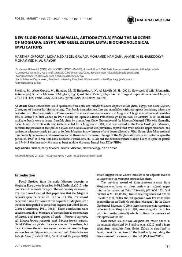 (PDF) New suoid fossils (Mammalia, Artiodactyla) from the Miocene of ...