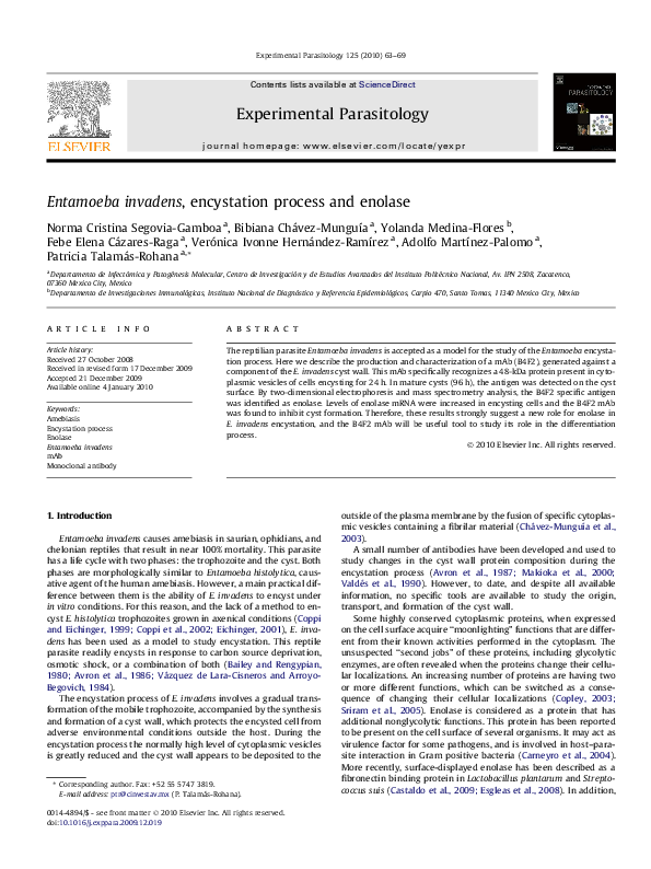 (PDF) Entamoeba invadens, encystation process and enolase