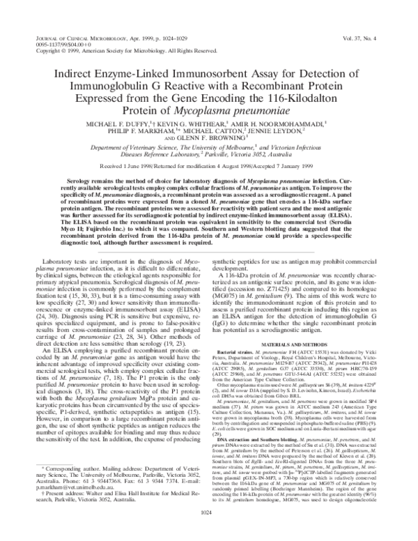 (PDF) Indirect enzyme-linked immunosorbent assay for detection of immunoglobulin G reactive with ...