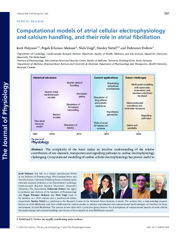(PDF) Computational models of atrial cellular electrophysiology and calcium handling, and their ...