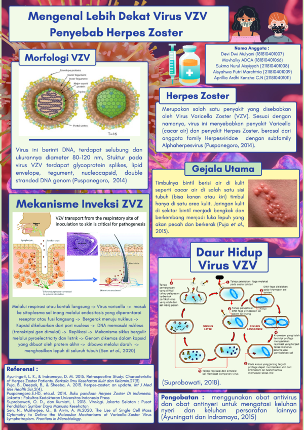 (PDF) Poster Virus Herpes VZV