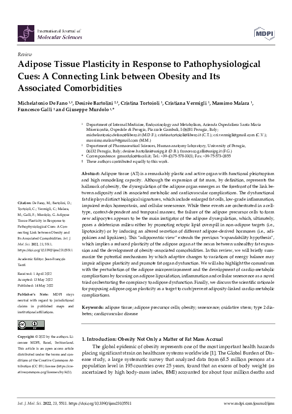 (PDF) Adipose Tissue Plasticity in Response to Pathophysiological Cues ...
