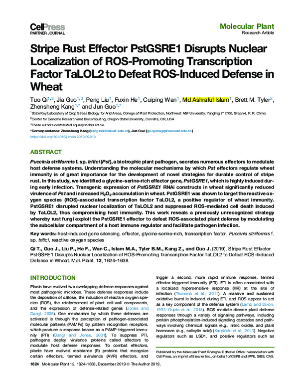 (PDF) Stripe Rust Effector PstGSRE1 Disrupts Nuclear Localization of ROS-Promoting Transcription ...