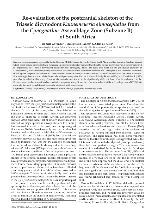 (PDF) Re-evaluation of the postcranial skeleton of the Triassic ...