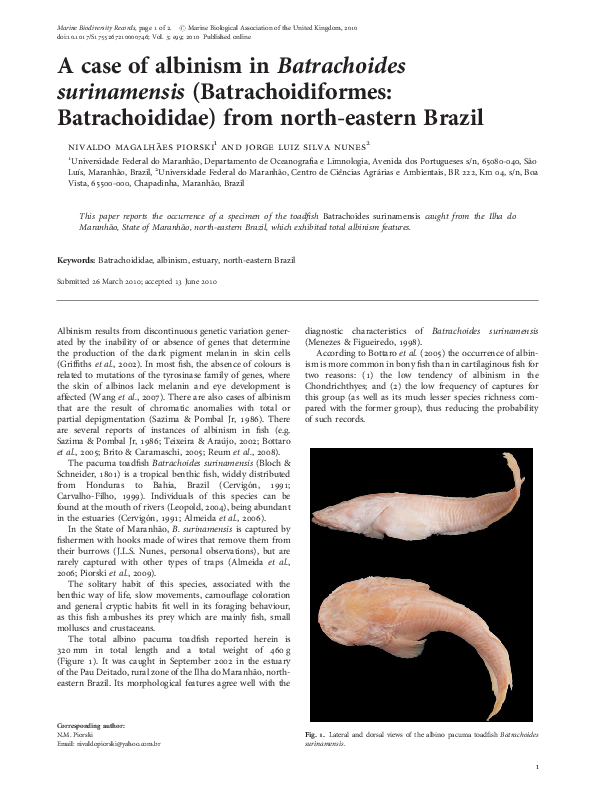 (PDF) A case of albinism in Batrachoides surinamensis ...