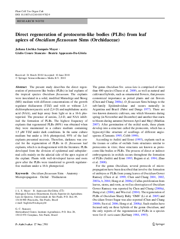 (PDF) Direct regeneration of protocorm-like bodies (PLBs) from leaf ...