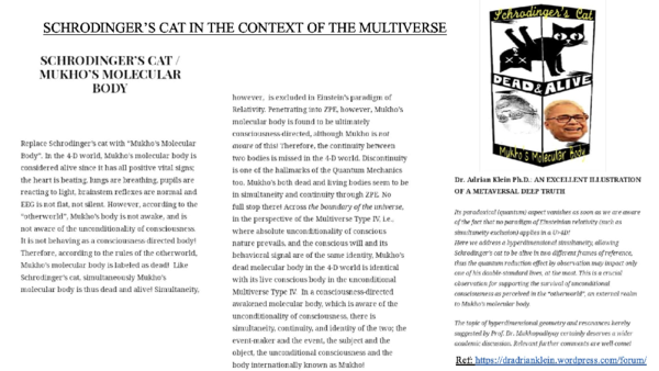 (PDF) Schrodinger's Cat in the context of the Multiverse