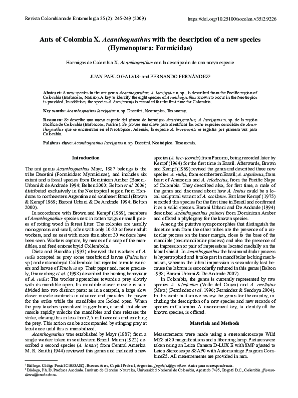 (PDF) Ants of Colombia X. Acanthognathus with the description of a new ...