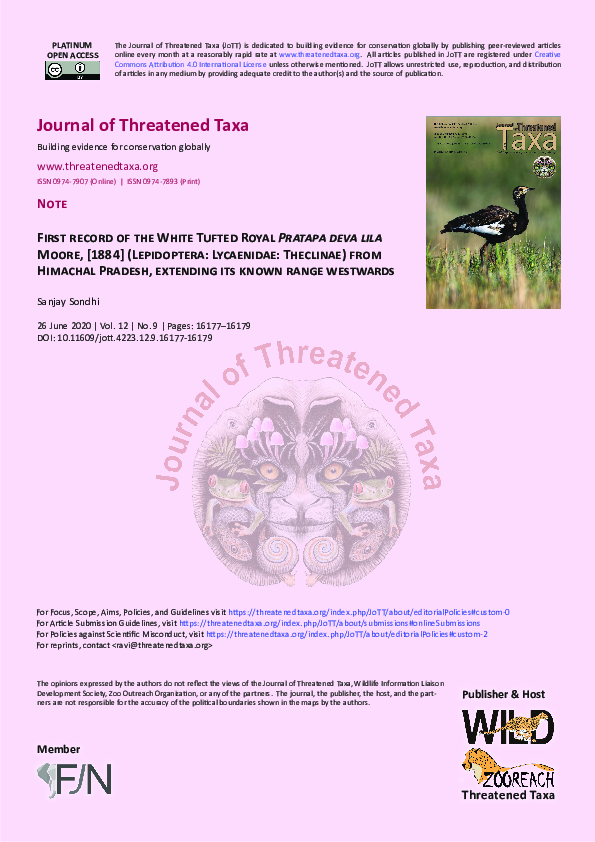 (PDF) First record of the White Tufted Royal Pratapa deva lila Moore ...