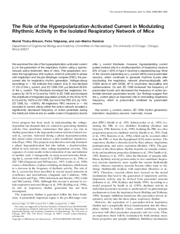 Pdf The Role Of The Hyperpolarization Activated Current In Modulating Rhythmic Activity In The