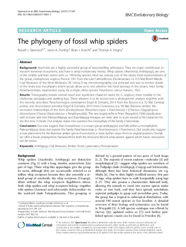 (PDF) The phylogeny of fossil whip spiders | Thomas A Hegna - Academia.edu