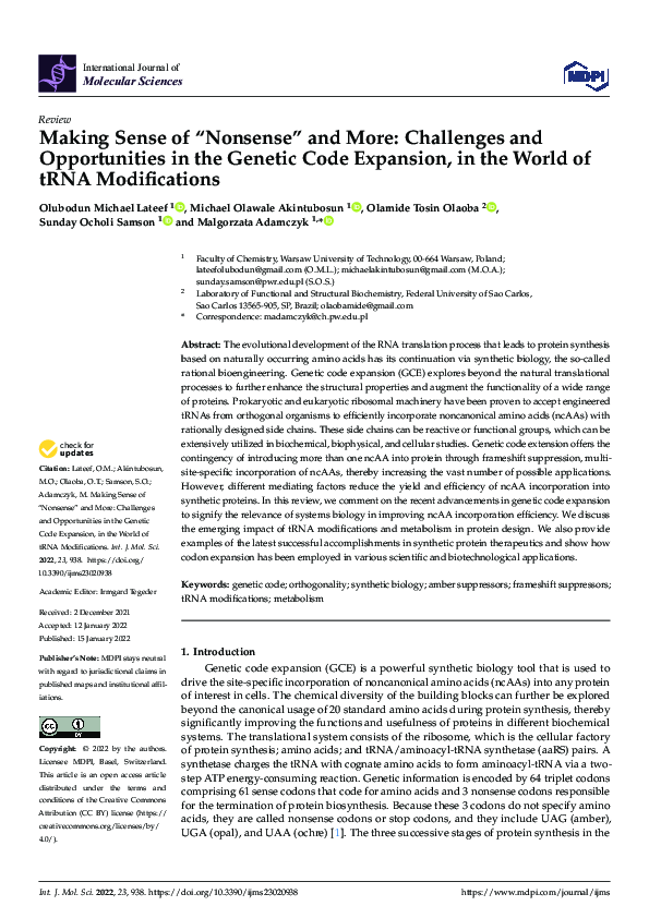 (PDF) Making Sense of “Nonsense” and More: Challenges and Opportunities ...