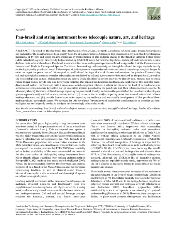 (PDF) Pau-brasil and string instrument bows telecouple nature, art, and ...