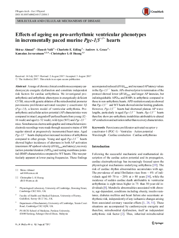 (PDF) Effects of ageing on pro-arrhythmic ventricular phenotypes in ...