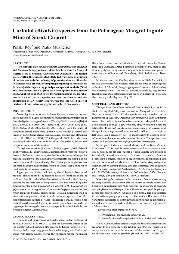 (PDF) Corbulid (Bivalvia) species from the Palaeogene Mangrol Lignite ...