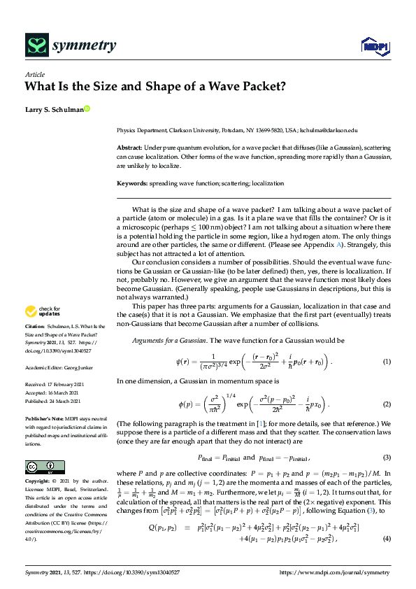 (PDF) What Is the Size and Shape of a Wave Packet? | Lawrence Schulman ...