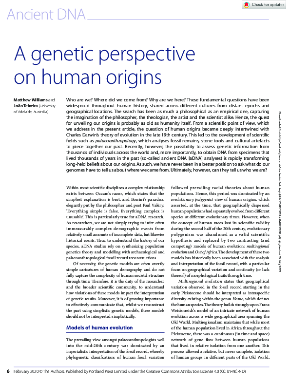 (PDF) A genetic perspective on human origins