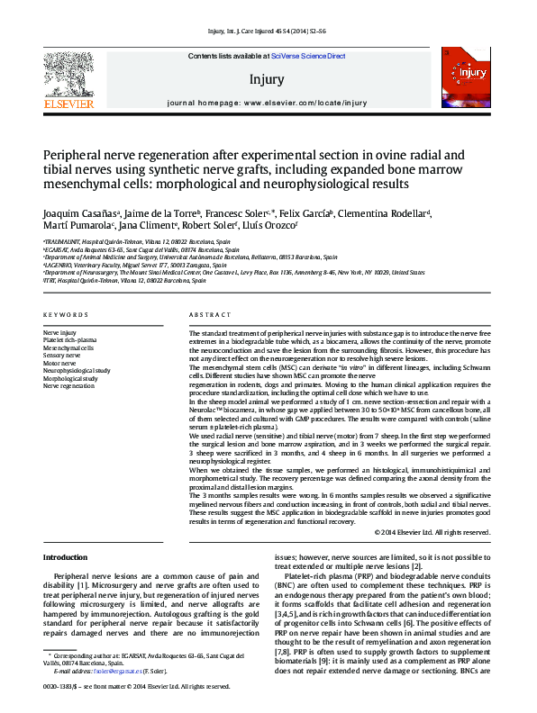 (PDF) Peripheral nerve regeneration after experimental section in ovine ...
