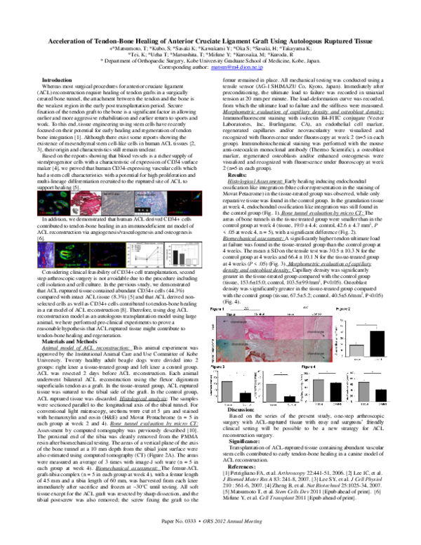 (PDF) Acceleration of Tendon-Bone Healing of Anterior Cruciate Ligament Graft Using Autologous ...