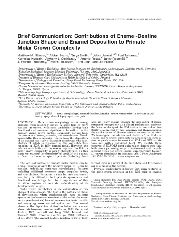 (PDF) Brief communication: Contributions of enamel-dentine junction ...