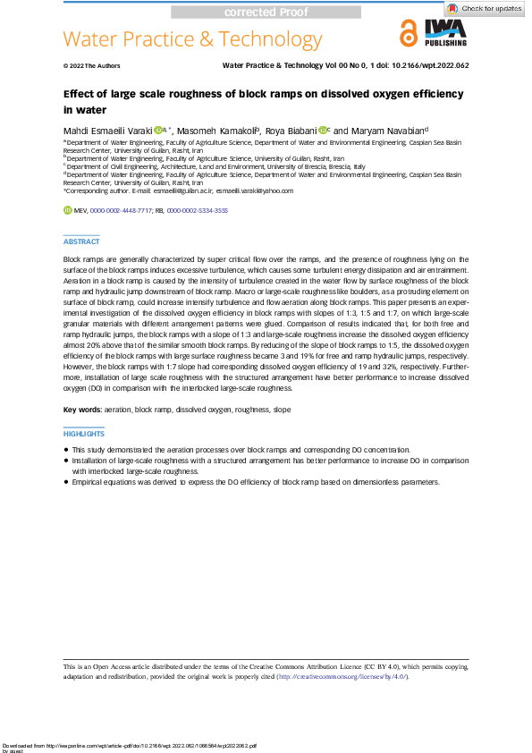 (PDF) Effect of large scale roughness of block ramps on dissolved ...