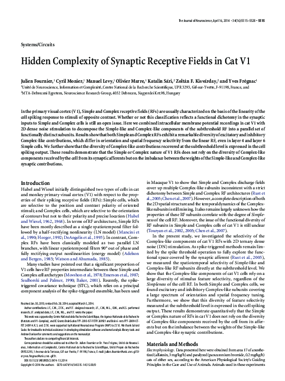 (PDF) Hidden Complexity of Synaptic Receptive Fields in Cat V1