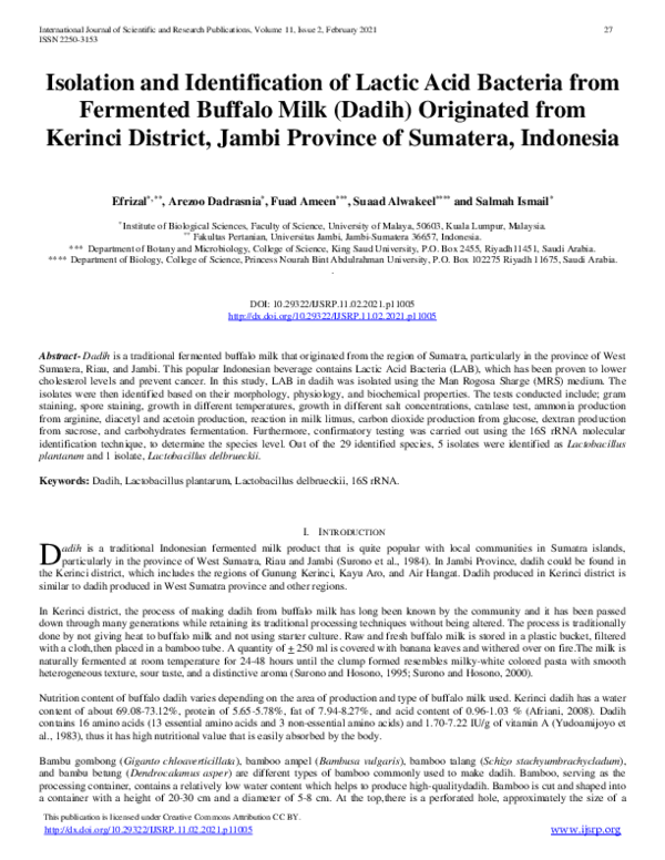 (PDF) Isolation and Identification of Lactic Acid Bacteria from Fermented Buffalo Milk (Dadih ...