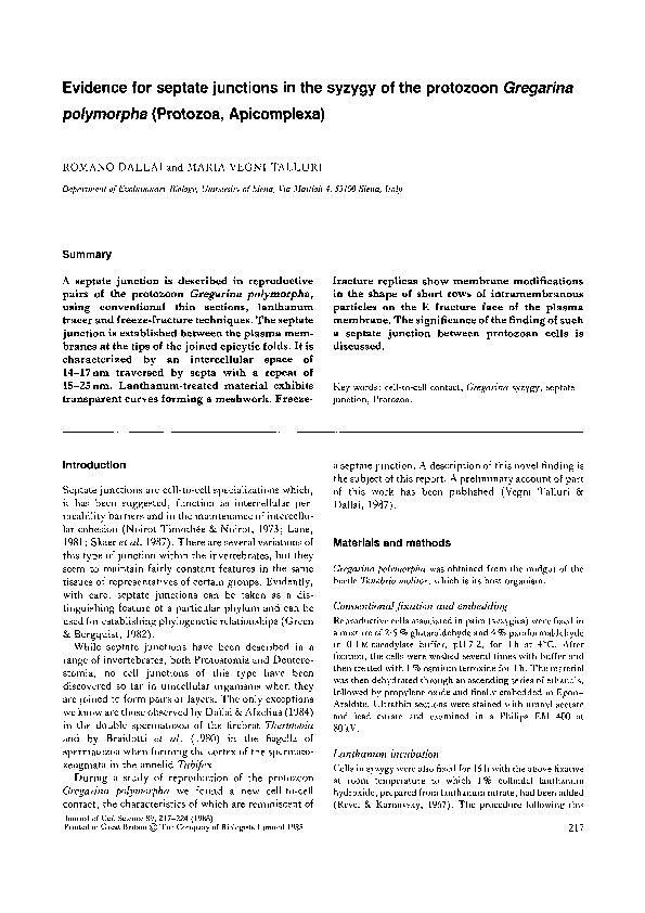(PDF) Evidence for septate junctions in the syzygy of the protozoon ...