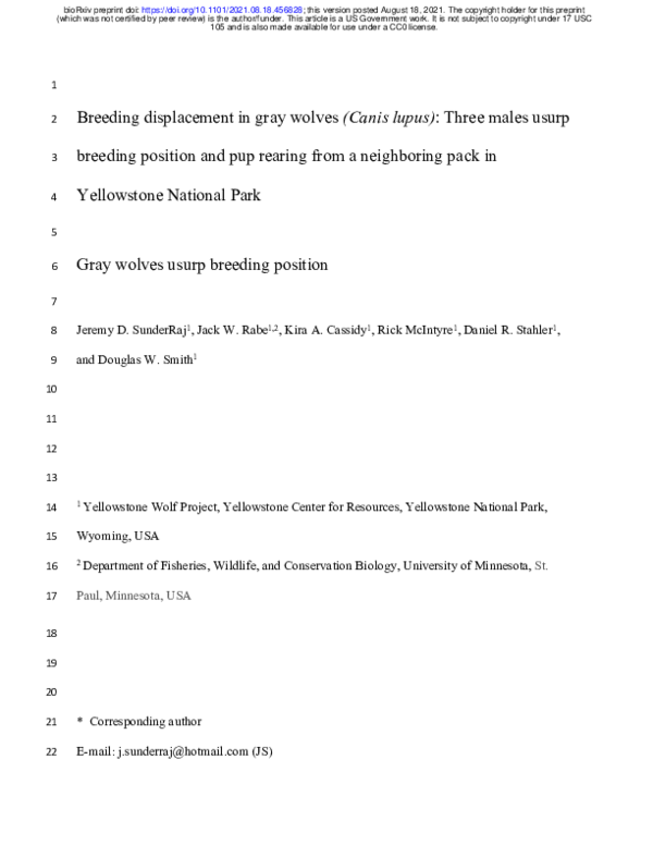 (PDF) Breeding displacement in gray wolves (Canis lupus): Three males ...