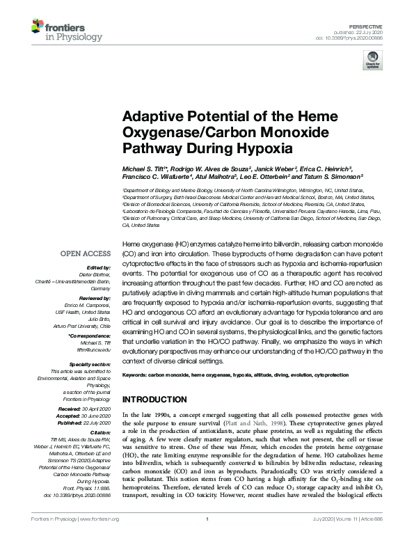 (PDF) Adaptive Potential of the Heme Oxygenase/Carbon Monoxide Pathway ...
