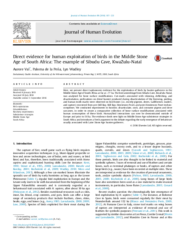 Direct evidence for human exploitation of birds in the Middle Stone Age ...