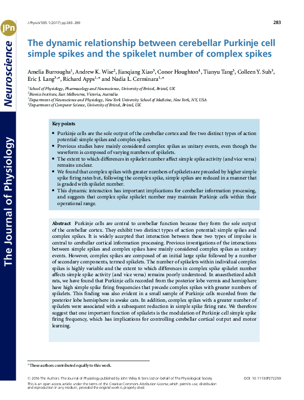 (PDF) The dynamic relationship between cerebellar Purkinje cell simple ...