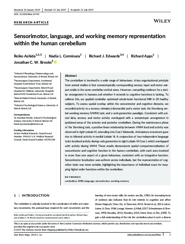 Pdf Sensorimotor Language And Working Memory Representation Within