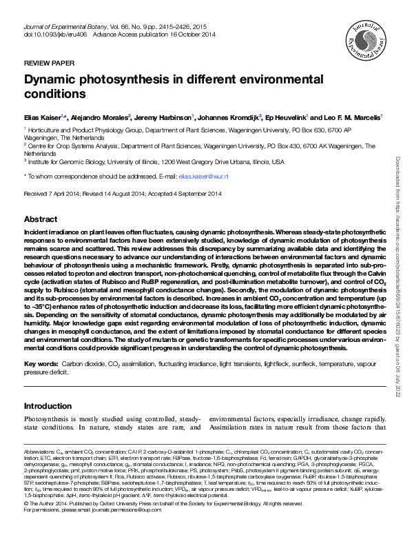 (PDF) Dynamic photosynthesis in different environmental conditions