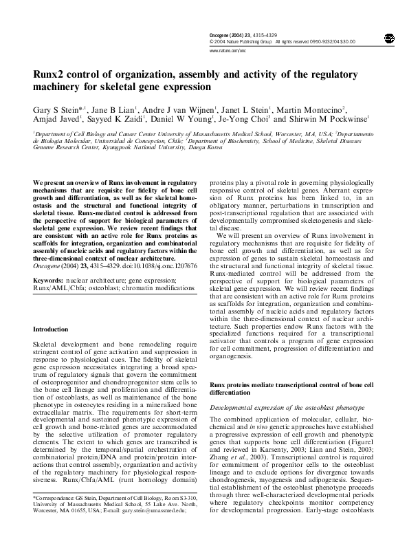 Pdf Runx2 Control Of Organization Assembly And Activity Of The