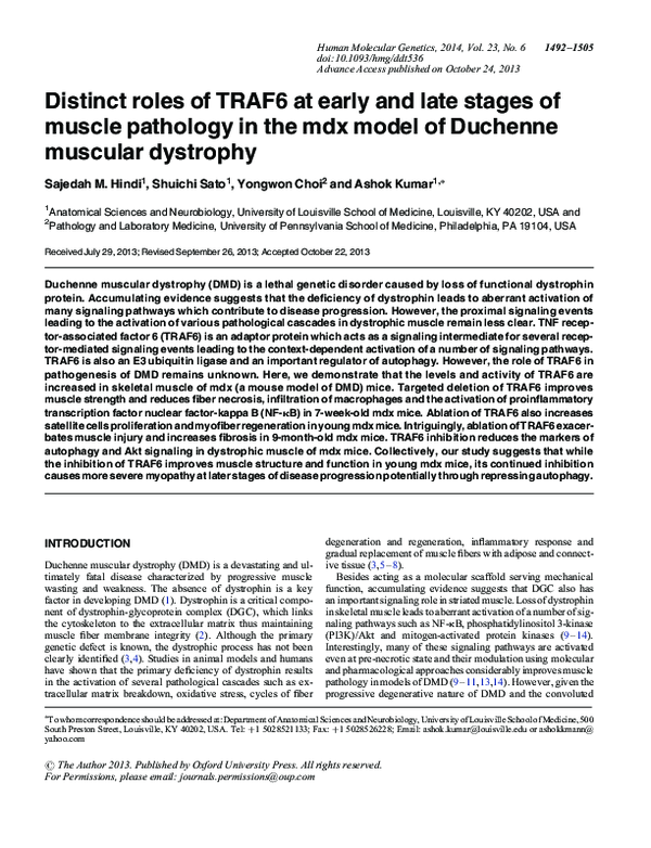 (PDF) Distinct roles of TRAF6 at early and late stages of muscle ...