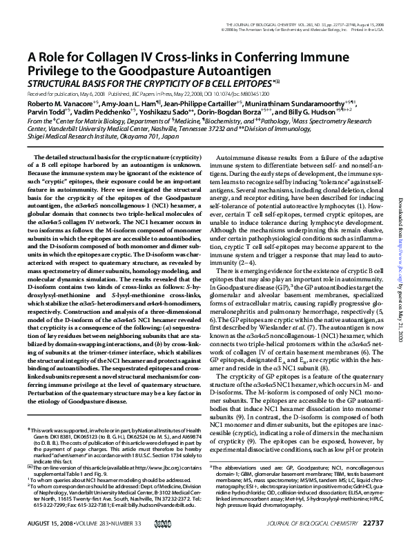 (PDF) A Role for Collagen IV Cross-links in Conferring Immune Privilege ...